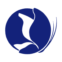 Java NIO基础与实战：如何提升IO操作性能_java nio实战-CSDN博客