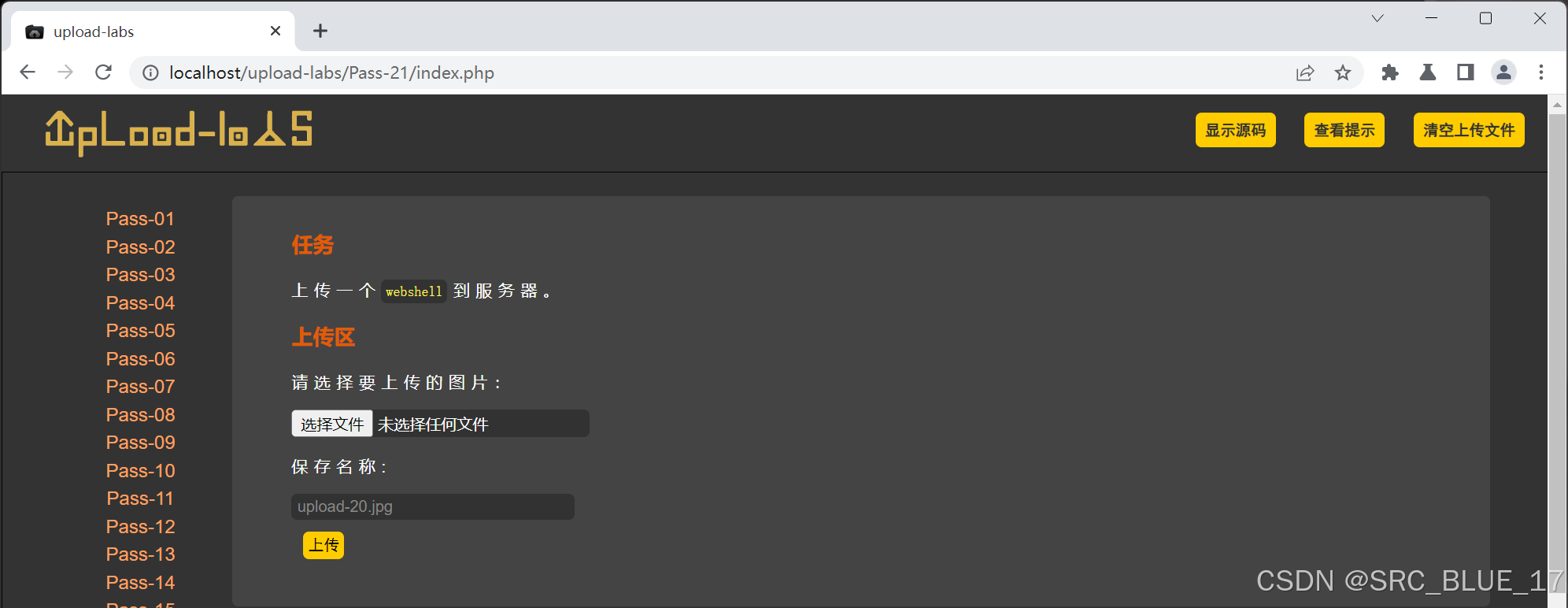 UPLOAD LABS | PASS 21 - 代码审计 + PHP 特性_upload-labs代码审计-CSDN博客