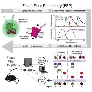 pMAT——Photometry Modular Analysis Tool：开源光纤光度数据分析工具详解_光电触发分析工具软件-CSDN博客