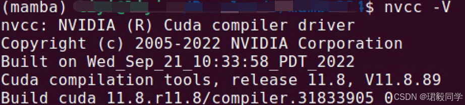 Mamba在Ubuntu系统上稳定安装运行_mamba2.2.4下装链接-CSDN博客