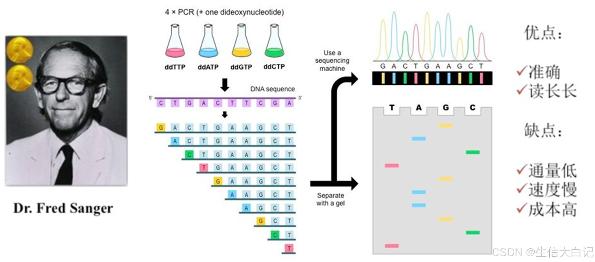 测序技术原理_一代二代三代测序原理-CSDN博客