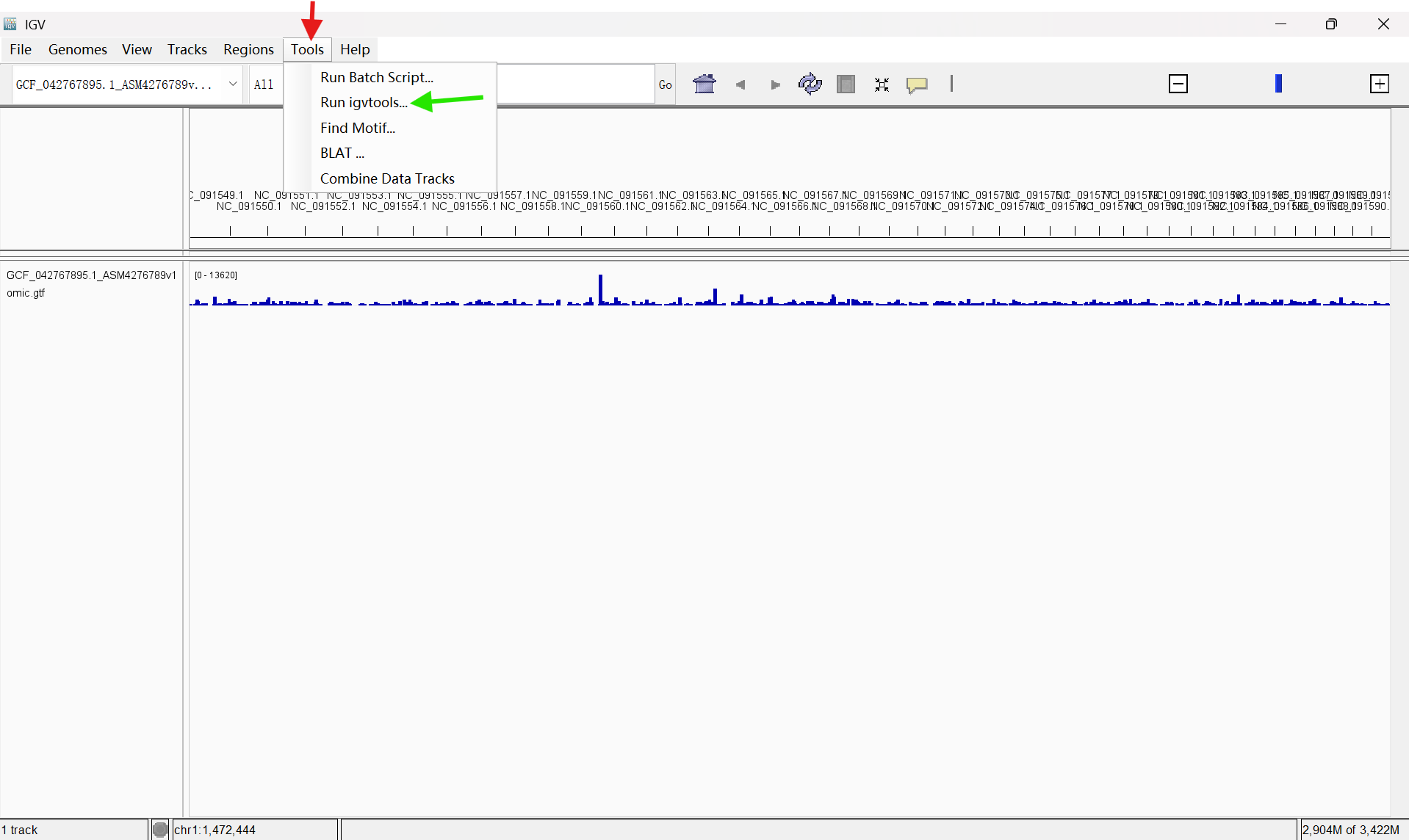 IGV软件系列--peak可视化 -CSDN博客