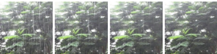 从0到1掌握Instruct-IPT：让图像去雨雪、去雾、去模糊不再复杂-CSDN博客