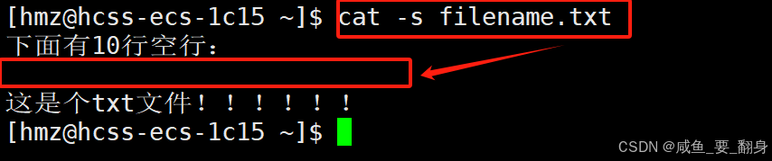 Linux基本命令篇 —— cat命令_linux cat-CSDN博客