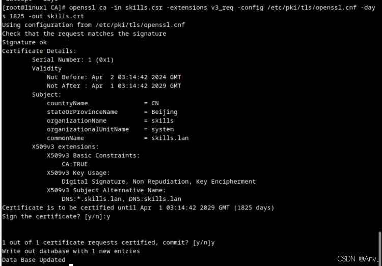 CA服务。_配置linux1为ca服务器,为linux主机颁发证书。证书颁发机构有效期10年,公用名为lin-CSDN博客