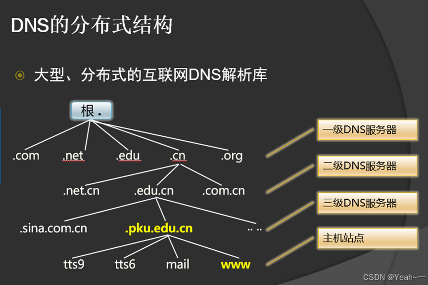 Linux服务管理-DNS域名服务器_forwarders { 127.0.0.1; };-CSDN博客