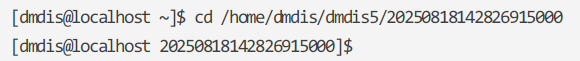 DMDIS部署实操学习项目文档_dmdjdk-CSDN博客