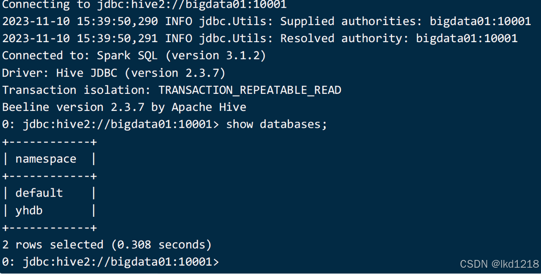 SparkSQL使用方式_启动spark-sql服务-CSDN博客