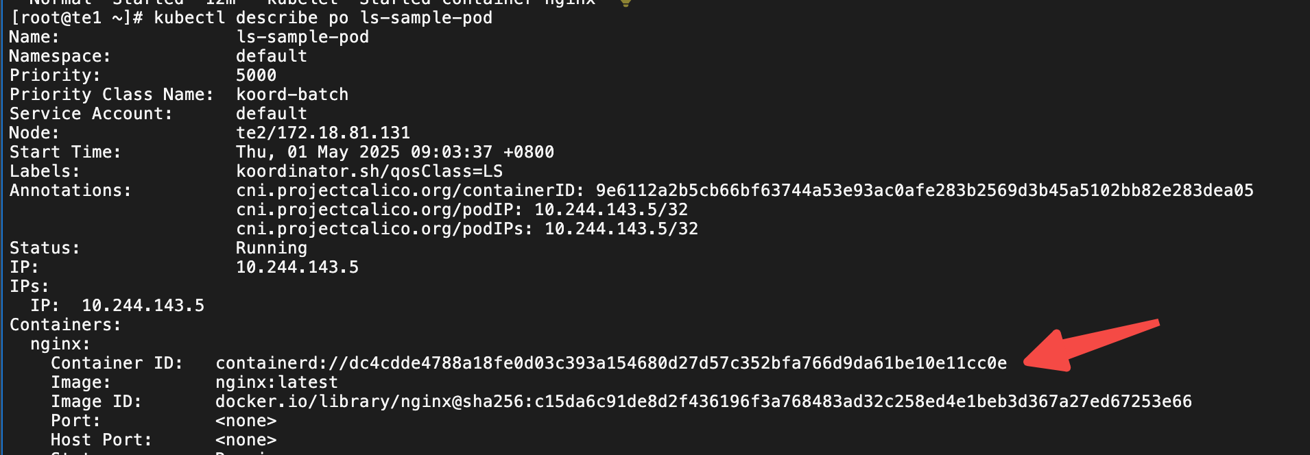 Koordinator 快速入门 (一)-CSDN博客