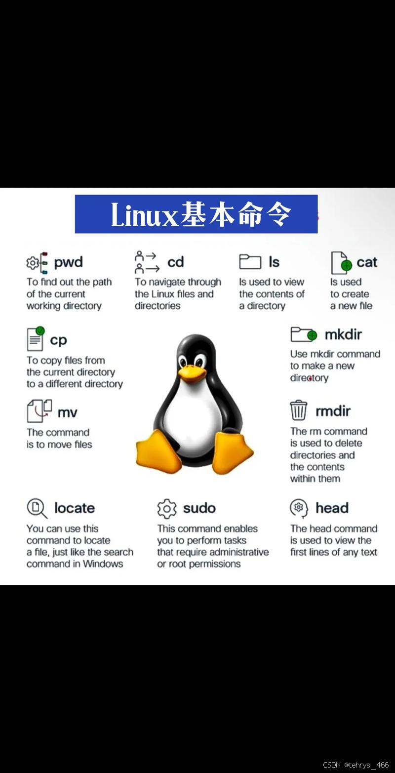Linux系统编程中，fionread ioctl的使用方法及作用详解-CSDN博客