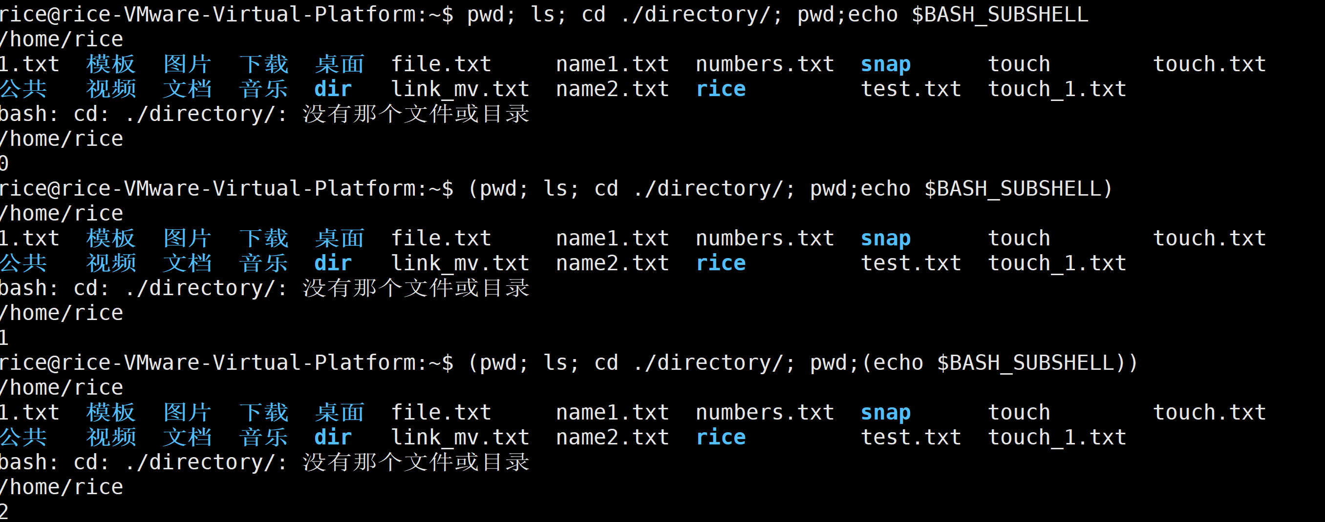 理解shell-CSDN博客