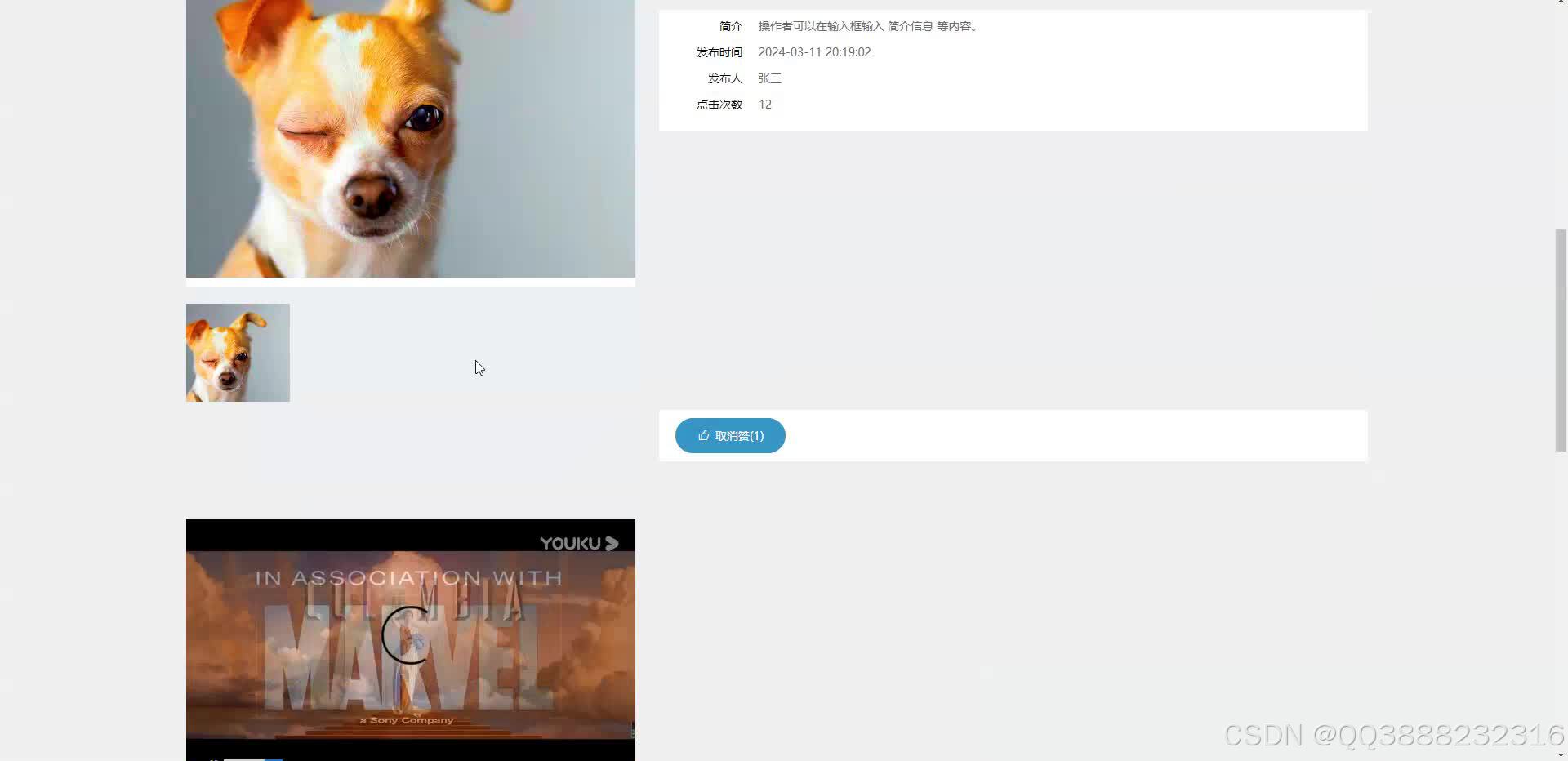 基于springbootvue的宠物领养饲养交流管理平台系统springbootvue宠物托养平台带聊天 Csdn博客