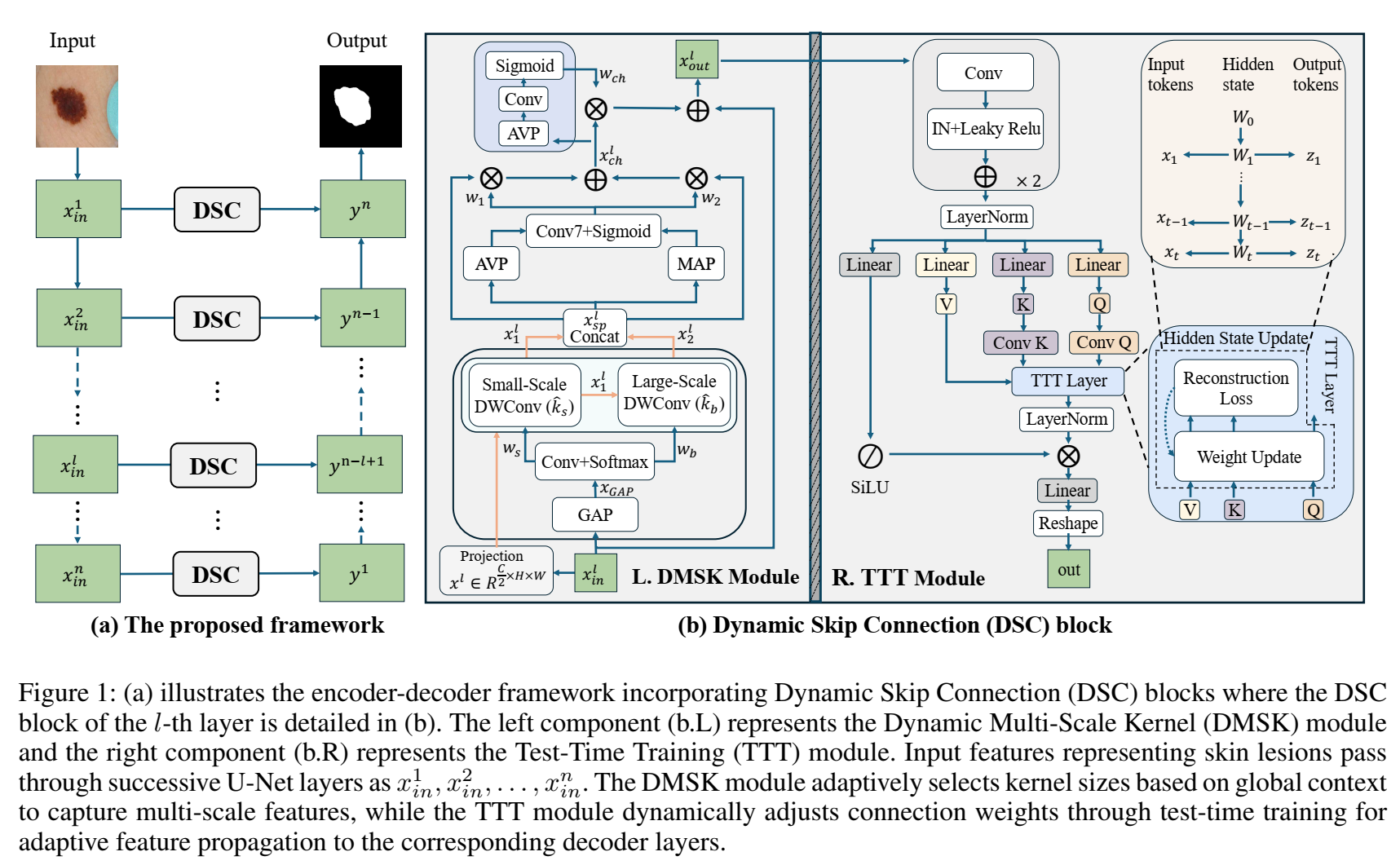 Enhancing Feature Fusion of U-like Networks with Dynamic Skip ...