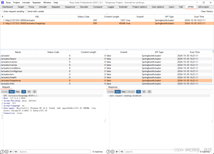 DAY68WEB 攻防-Java 安全&原生反序列化&SpringBoot 攻防&heapdump 提取&CVE_springboot heapdump泄露是哪个cve-CSDN博客