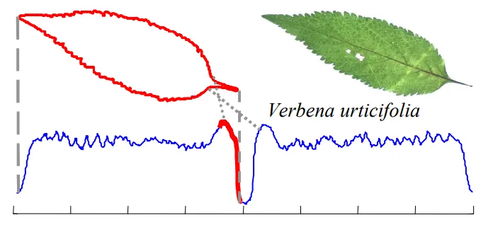 Shapelets介绍-时序分类方法-CSDN博客