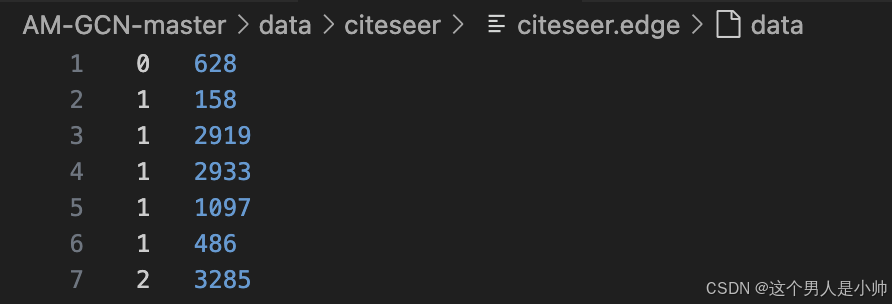 【图神经网络】 AM-GCN代码实战（3）【pytorch】代码可运行-CSDN博客