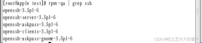 配置古董级Red Hat Linux 9系统与本地SFTP连接指南_redhat sftp-CSDN博客