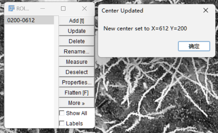 神经元高尔基染色Sholl分析(ing)-CSDN博客