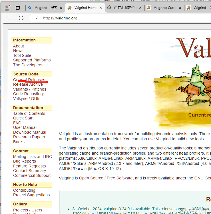 Valgrind Linux内存调试工具官网下载及使用_valgrind下载-CSDN博客
