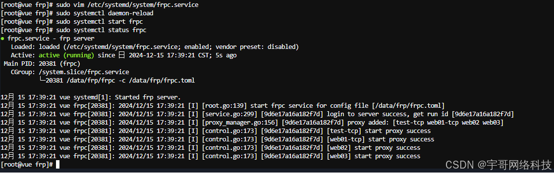 基于centos7.9系统FRP0.52.3版本部署_frp centos-CSDN博客