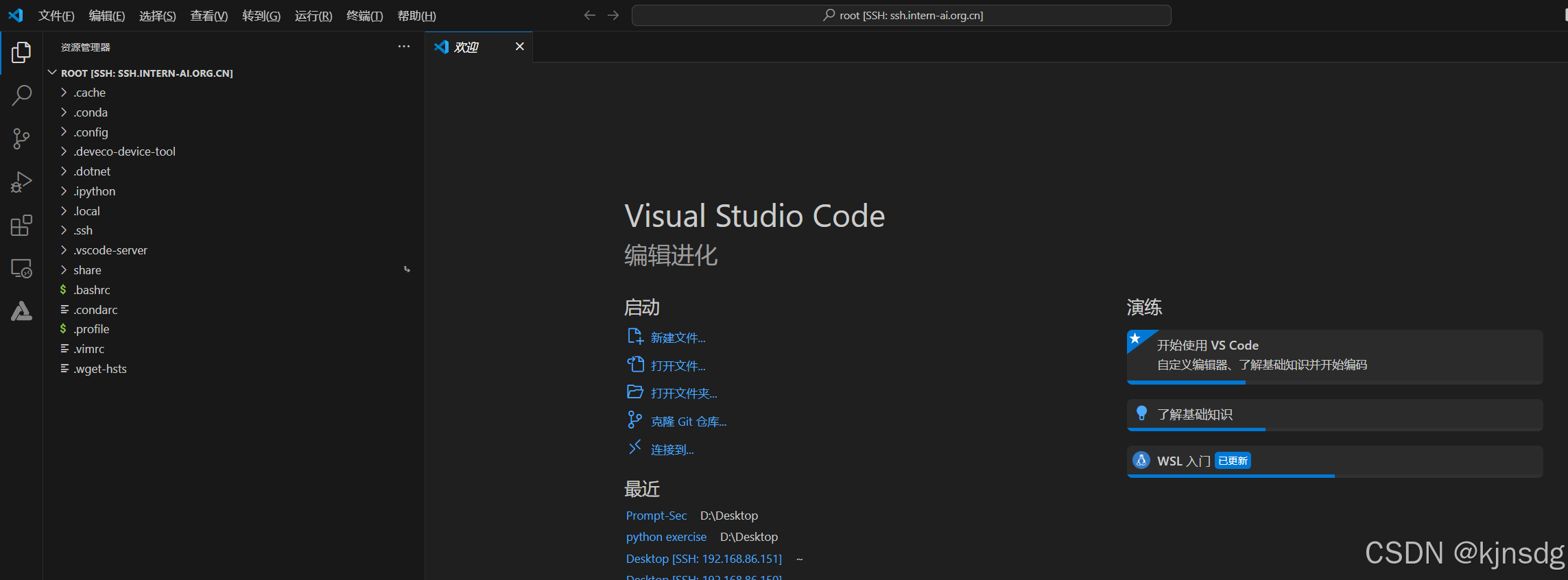Intern大模型训练营（一）：InternStudio开发机+Conda环境激活_intern studio-CSDN博客