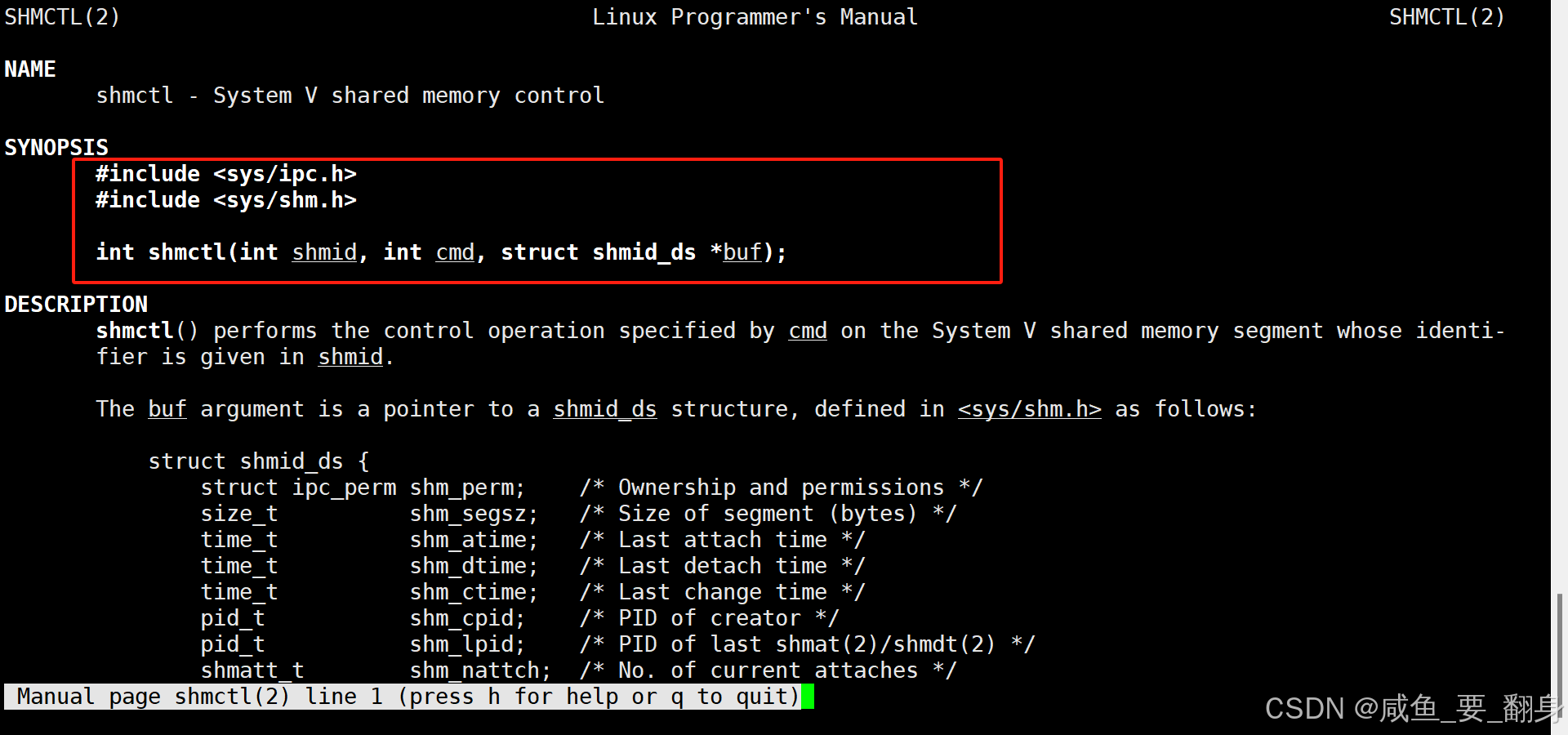 深入解析System V 共享内存：原理、实现与进程间通信_共享内存原理图-CSDN博客
