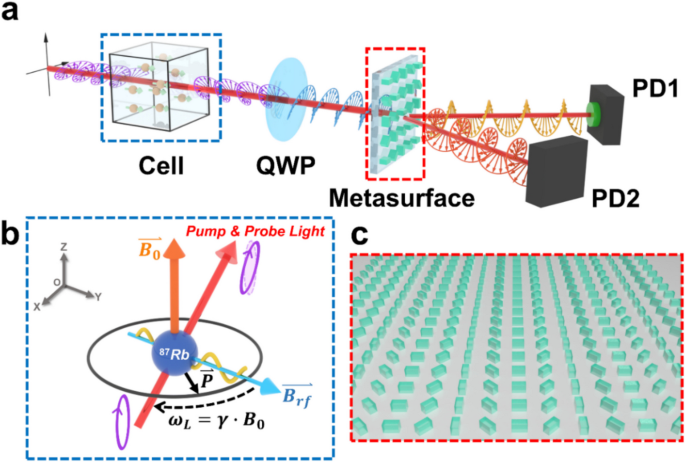 [超表面论文快讯-286] PhotoniX-超表面原子自旋手性探测-北航李进团队-CSDN博客