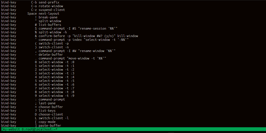 Linux中tmux入门使用指南：告别SSH断线烦恼，提升终端工作效率的神器_tmux进入环境-CSDN博客