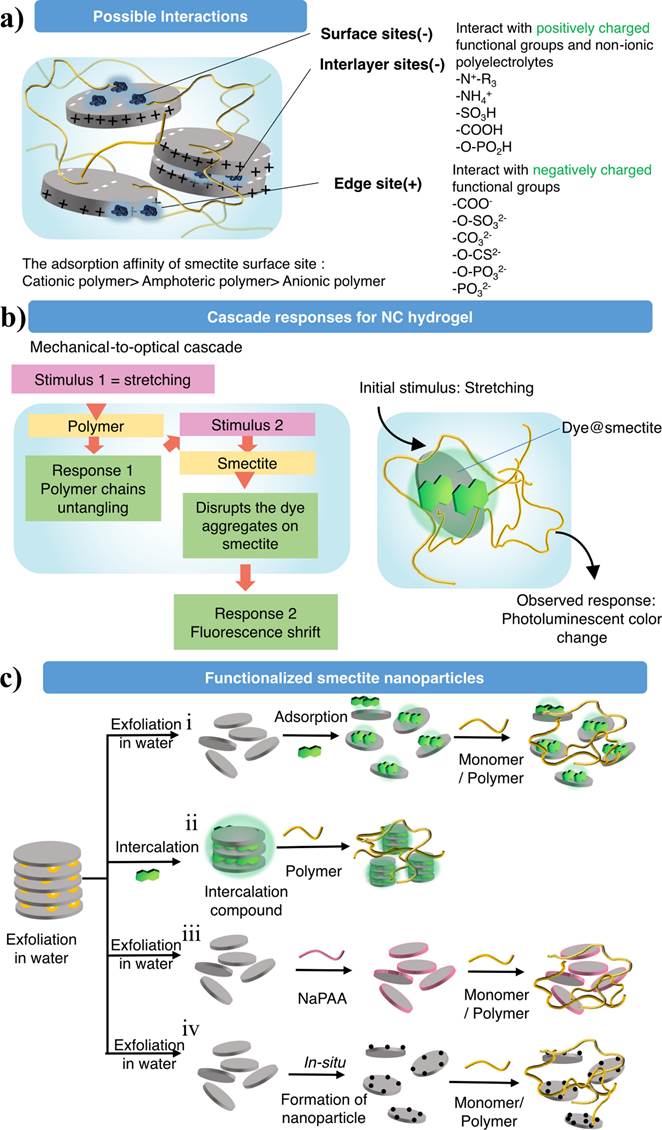 当蒙脱石遇上聚合物：这种“聪明材料”能屈能伸还会变色！_polymer-clay nanocomposite hydrogels with multiple-CSDN博客