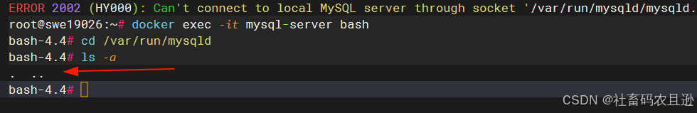 docker命令进入MySQL容器时的报错：ERROR 2002 (HY000): Can‘t connect to local MySQL server through socket ...