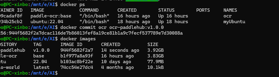 PaddleOCR使用docker安装部署,离线制作镜像,本地化http接口调用_paddleocr docker-CSDN博客