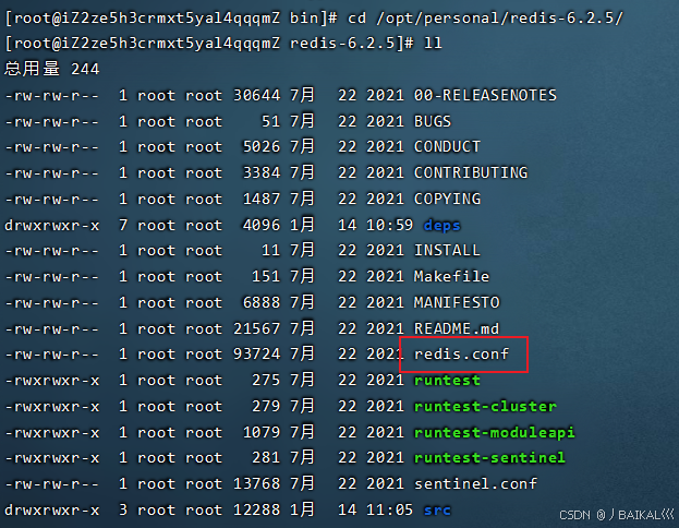 Linux安装redis_redis-6.2.5.tar.gz-CSDN博客