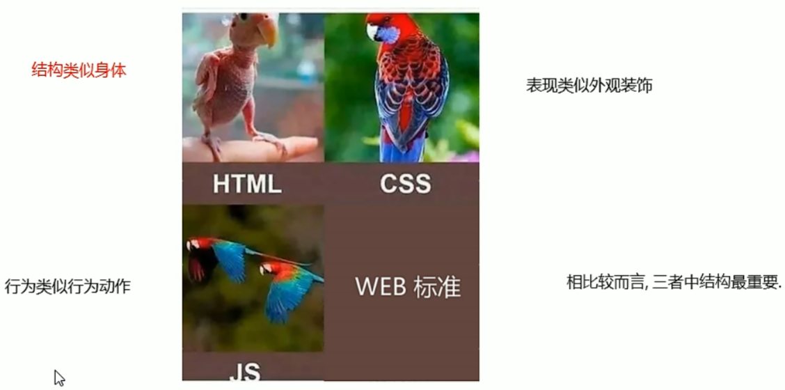 HTML5 + CSS3 学习笔记_html学习css3-CSDN博客