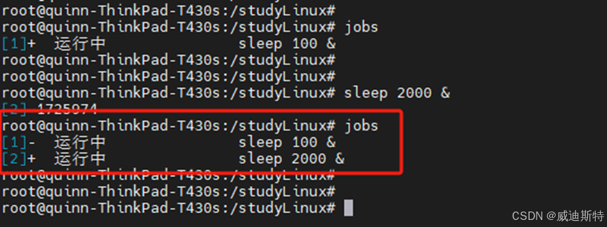 Linux命令：用于将后台运行的作业（进程）带到前台执行的命令fg详解_linux fg命令-CSDN博客