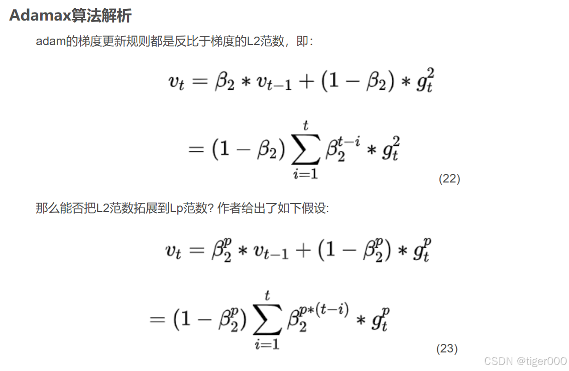 Adam优化_adamax知乎-CSDN博客
