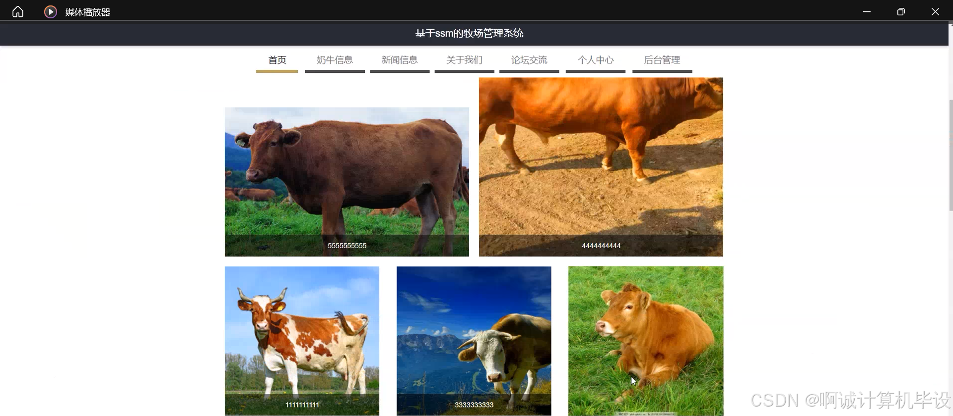基于ssmvue基于的牧场管理系统开题报告源码论文 Csdn博客