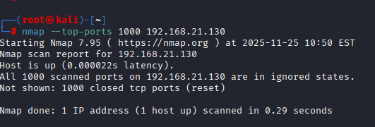 主动扫描：Nmap扫描和Web扫描-CSDN博客