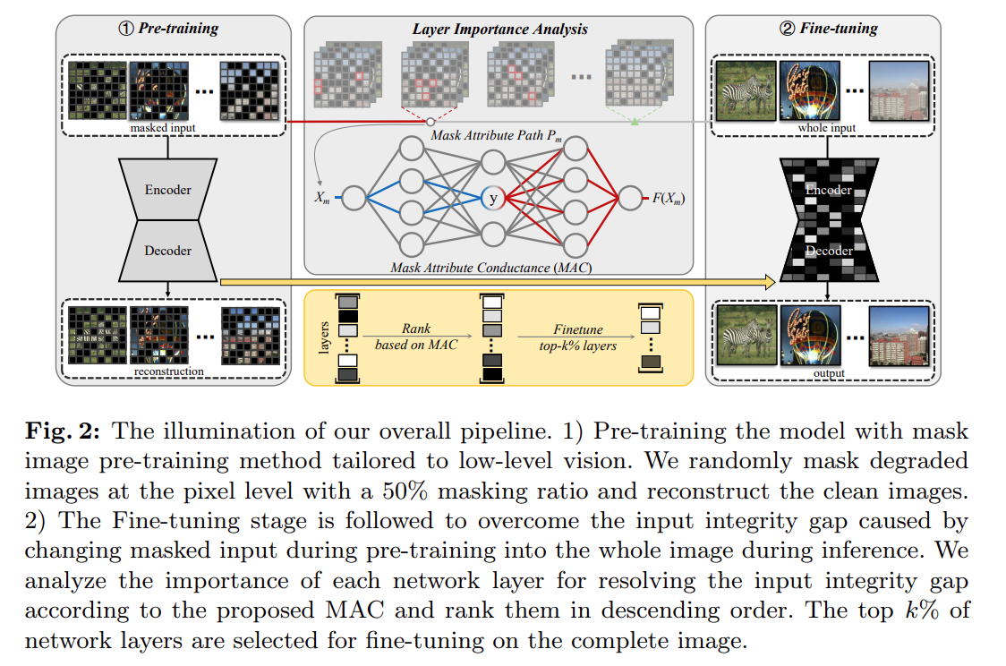 Restore Anything with Masks: Leveraging Mask Image Modeling for Blind All-in-One Image ...