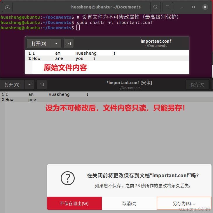 【Linux命令大全】001.文件管理之chattr命令（实操篇）-CSDN博客