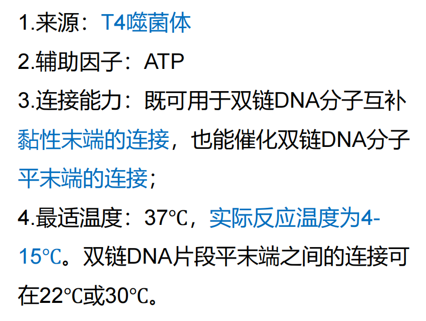 DNA连接酶-CSDN博客