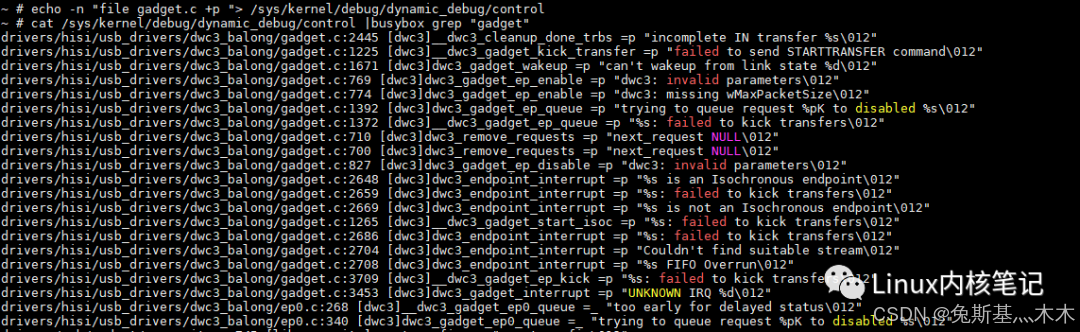 Linux内核调试 - dynamic debug_linux dynamic debug-CSDN博客