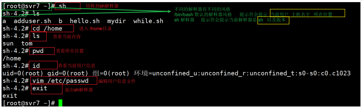 Linux-Day17.shell-day1基础-CSDN博客