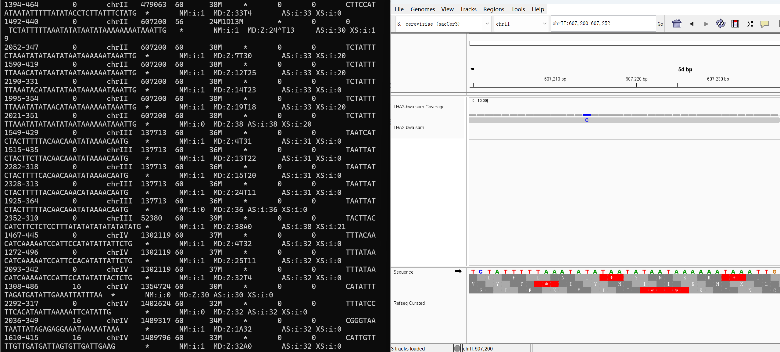 IGV基因浏览器无法显示sam文件中的全部reads（已解决）_igv sam-CSDN博客