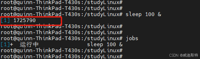 Linux命令：用于将后台运行的作业（进程）带到前台执行的命令fg详解linux Fg命令 Csdn博客