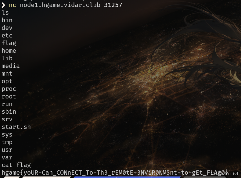 HGAME 2025 WEEK1 write-up_level 38475 角落-CSDN博客