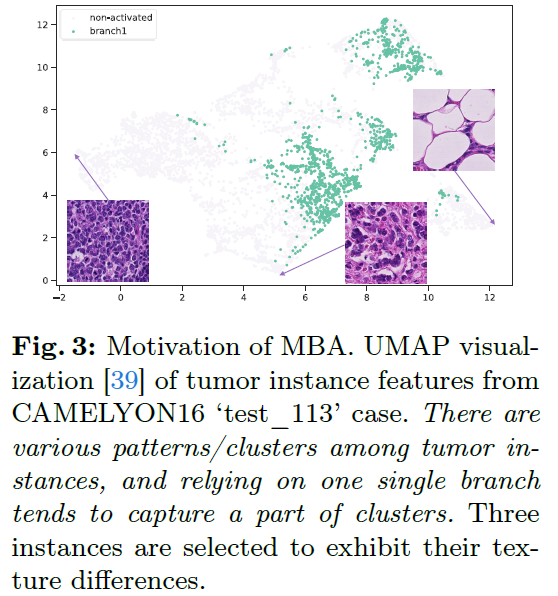 论文129：Attention-challenging multiple instance learning for whole slide image (ECCV‘25, Open ...