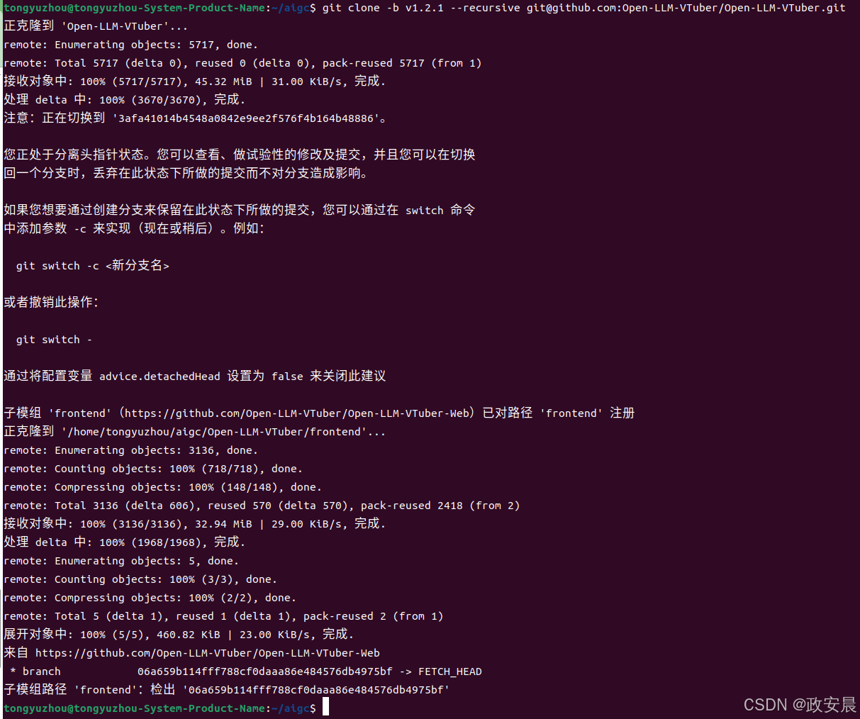 政安晨【零基础玩转开源AI项目】Open LLM Vtuber —— 与你的专属 Live2D AI 虚拟伴侣进行实时语音互动（支持所有主流大语言模型，跨平台运行）（基于Ubuntu ...