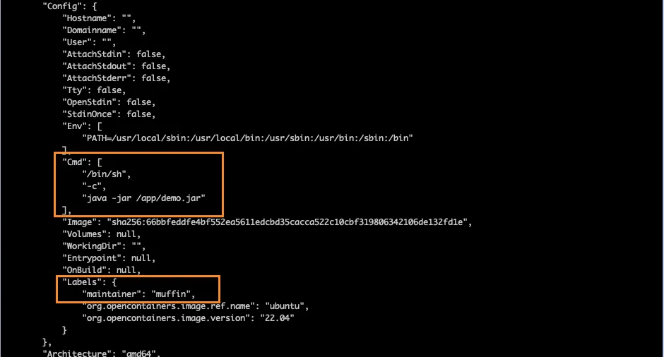 Docker 06 深入理解Docker Layer-CSDN博客