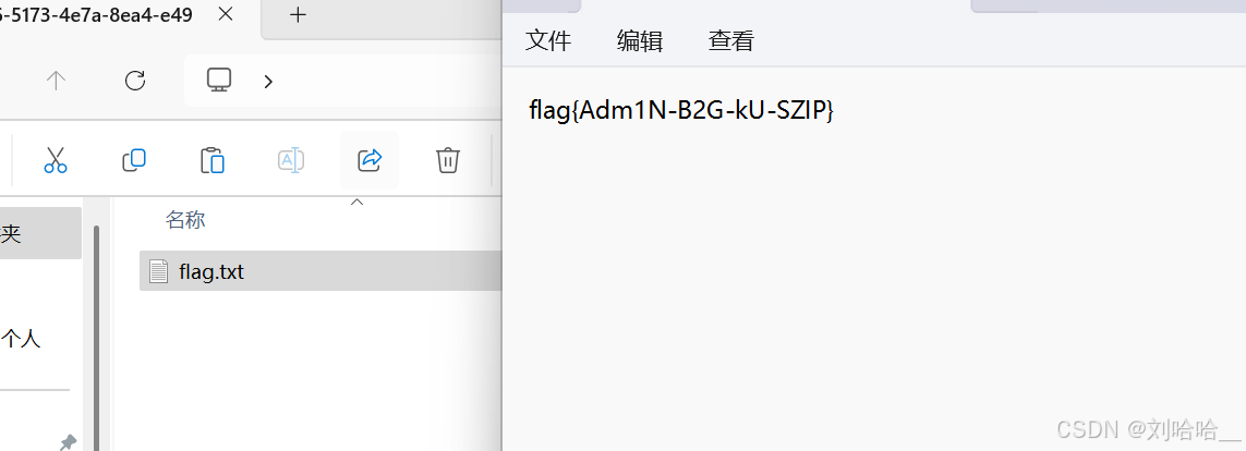 BUUCTF(Misc)——zip伪加密_buuctf zip伪加密-CSDN博客