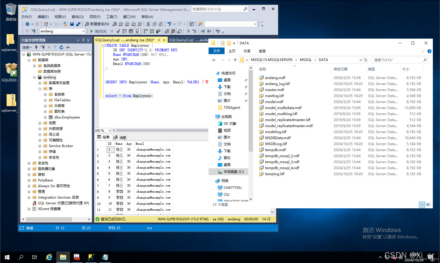 【安当产品应用案例100集】028-实现SQL Server数据库的透明加密-CSDN博客